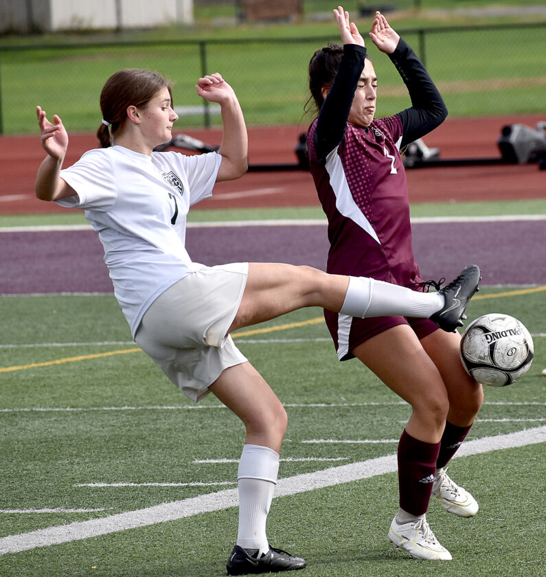 North Collins takes Class D from Ellicottville | News, Sports, Jobs ...